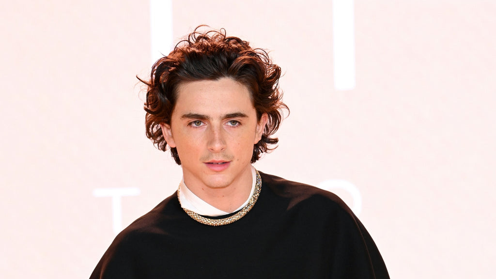 Timothée Chalamet's Iconic Silver Jewelry Style – Serpent Forge